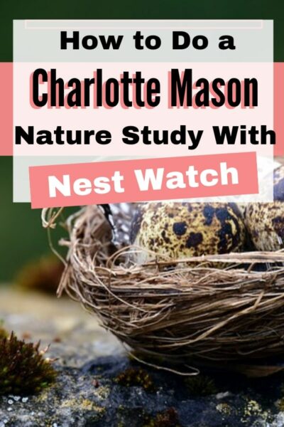 Nature Study with Nest Watch - At Home With Holly