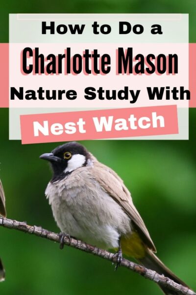 Nature Study with Nest Watch - At Home With Holly